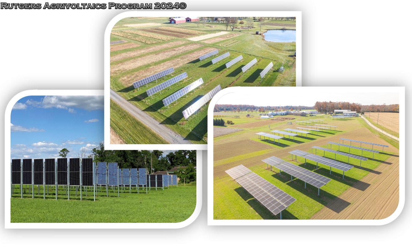 About – Rutgers Agrivoltaics Program