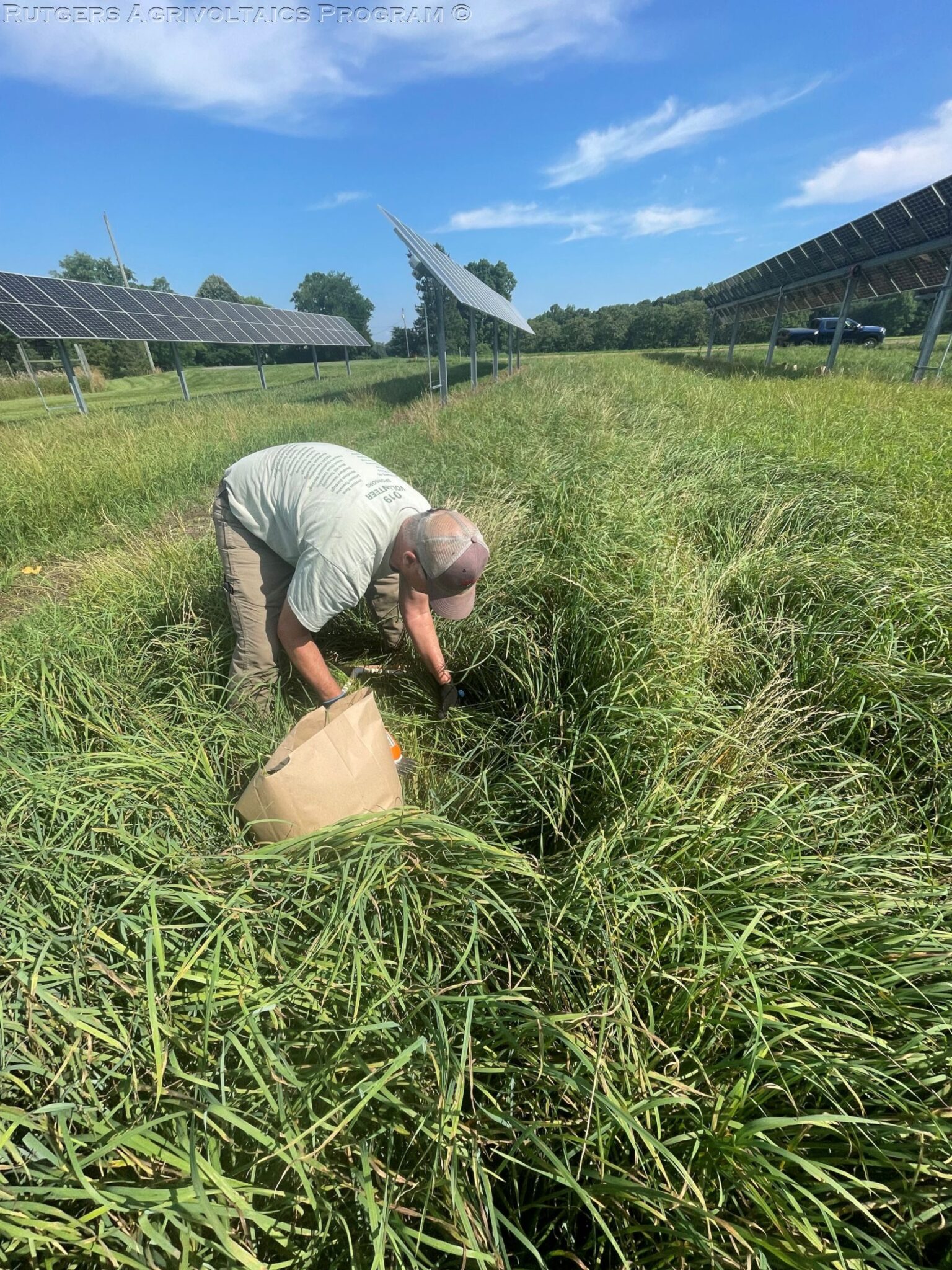 Hay Biomass Assessment at Snyder Farm – Rutgers Agrivoltaics Program