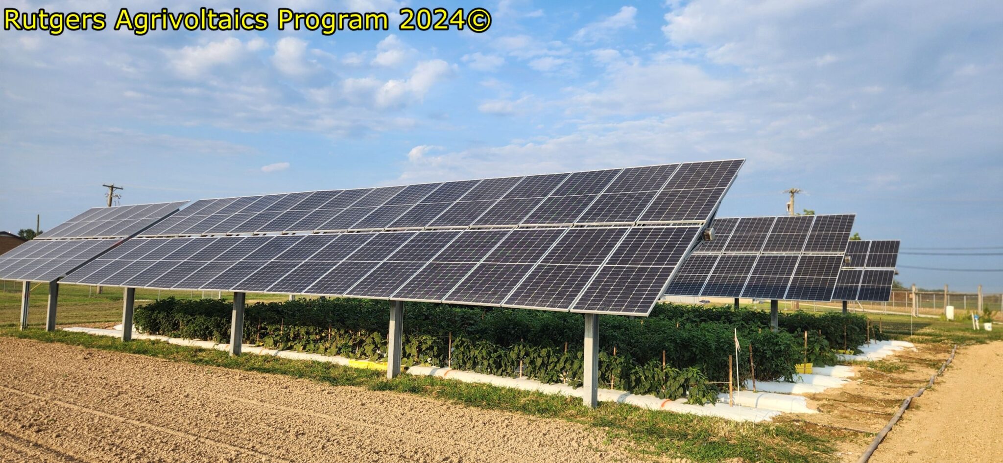 Agri-Technology and Research Twilight Meeting at RAREC – Rutgers ...