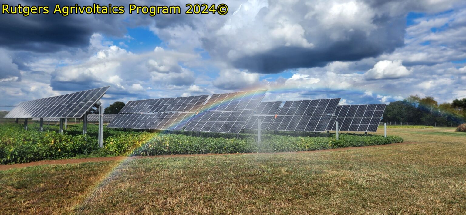 Agrivoltaics research a focus of the RAREC twilight meeting – Rutgers ...