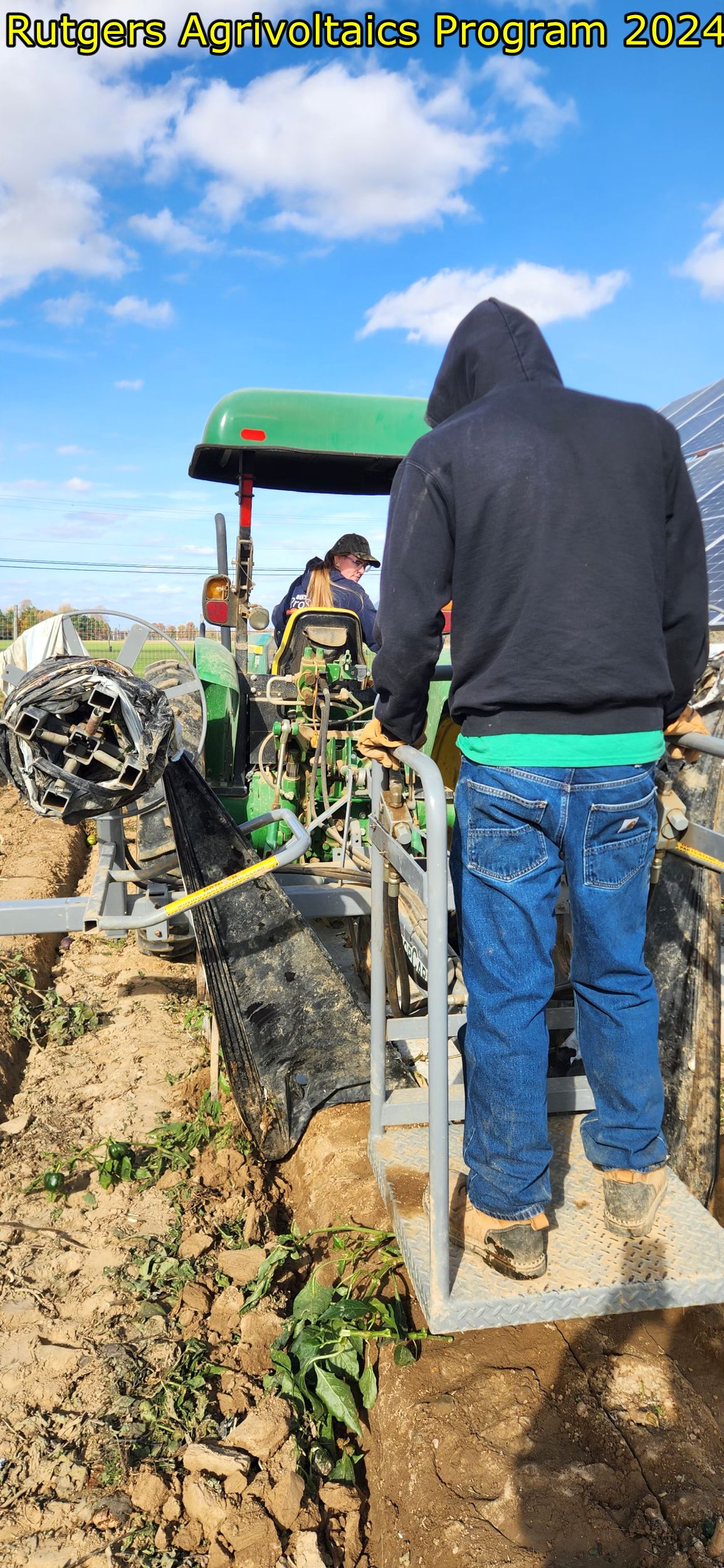 Breaking down the specialty crops trial at RAREC – Rutgers Agrivoltaics ...