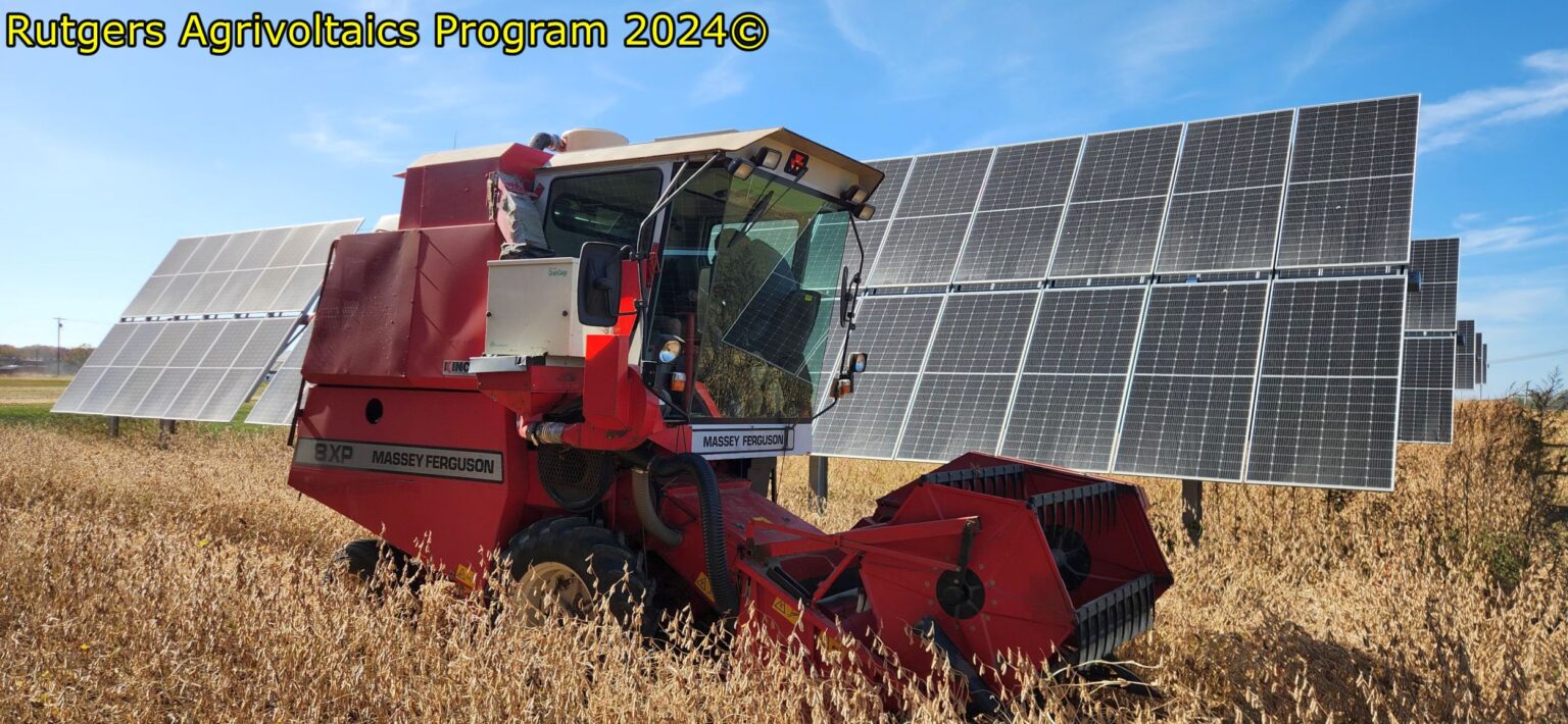 Soybean harvest at RAREC – Rutgers Agrivoltaics Program
