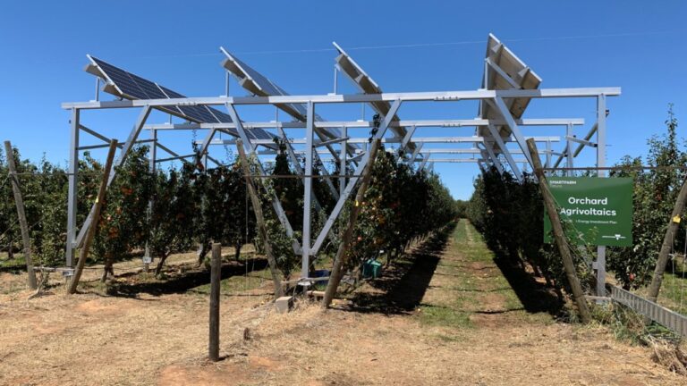 Image Gallery of Agrivoltaic Installations – Rutgers Agrivoltaics Program