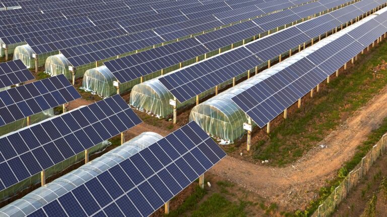 Image Gallery of Agrivoltaic Installations – Rutgers Agrivoltaics Program
