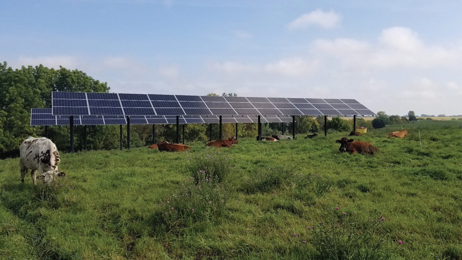 Image Gallery of Agrivoltaic Installations – Rutgers Agrivoltaics Program