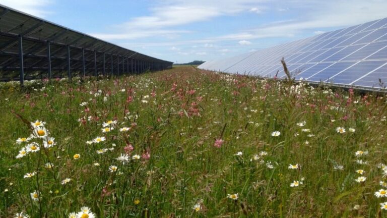 Image Gallery of Agrivoltaic Installations – Rutgers Agrivoltaics Program