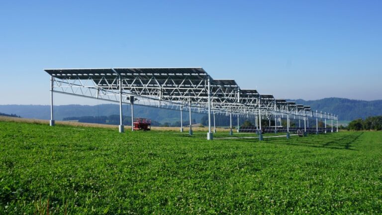 Image Gallery of Agrivoltaic Installations – Rutgers Agrivoltaics Program