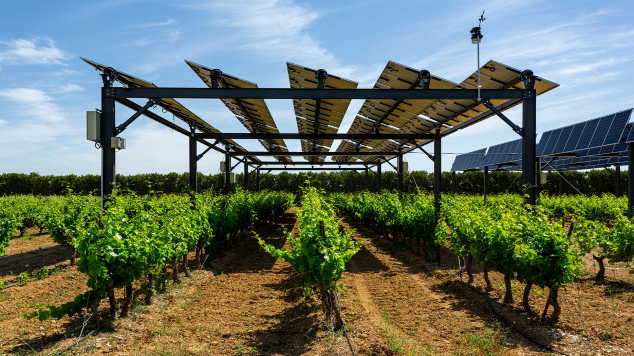 Image Gallery of Agrivoltaic Installations – Rutgers Agrivoltaics Program
